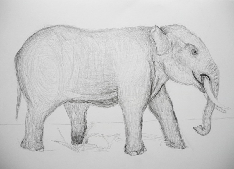 Vyhlášení vítězů výtvarné soutěže "Pojďte kreslit slona" | Slezské ...